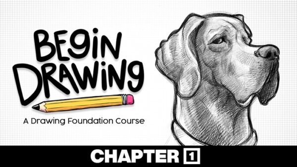Learn to Draw in 100 days - Drawing Camp - Keshart
