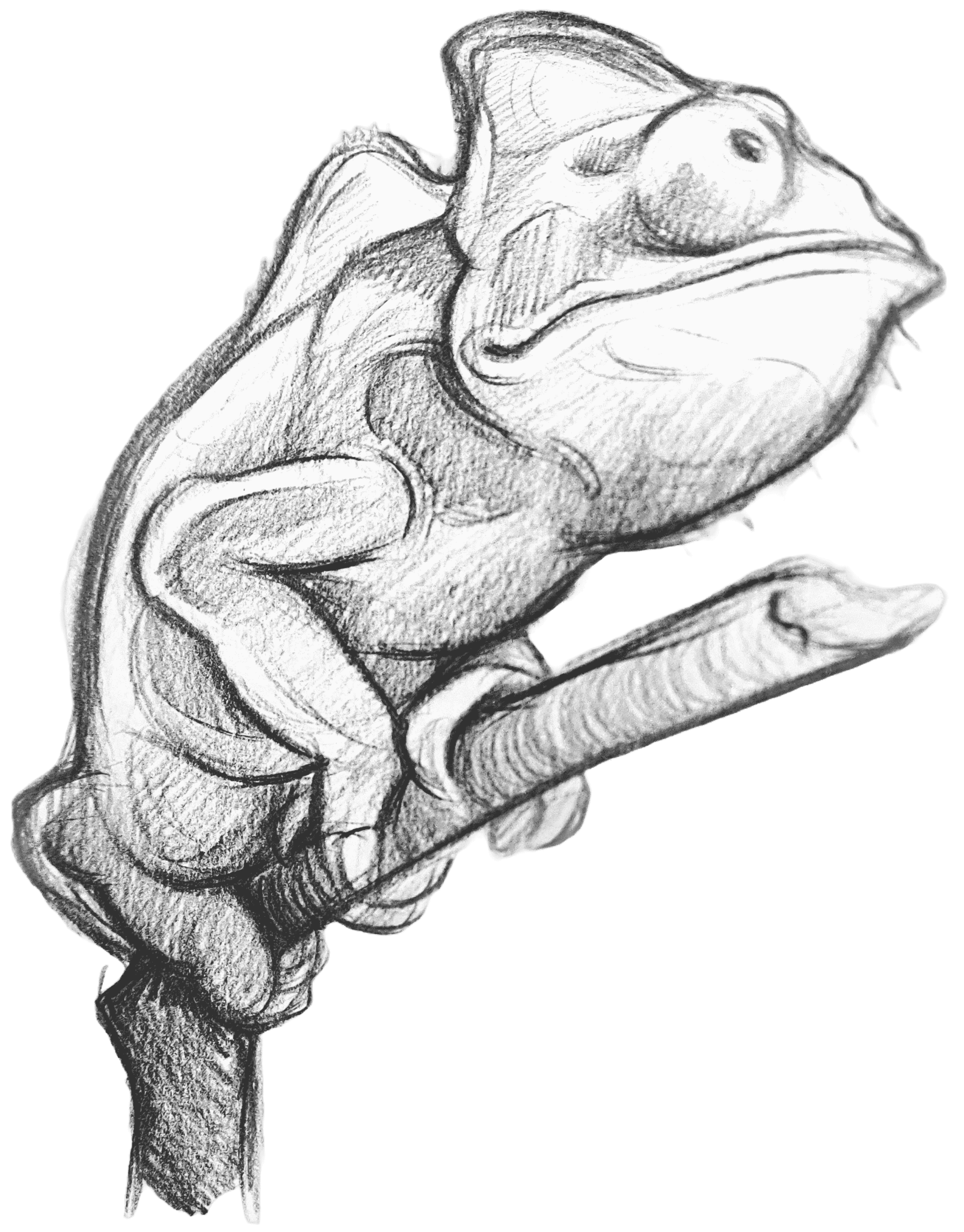 Begin Drawing - Keshart