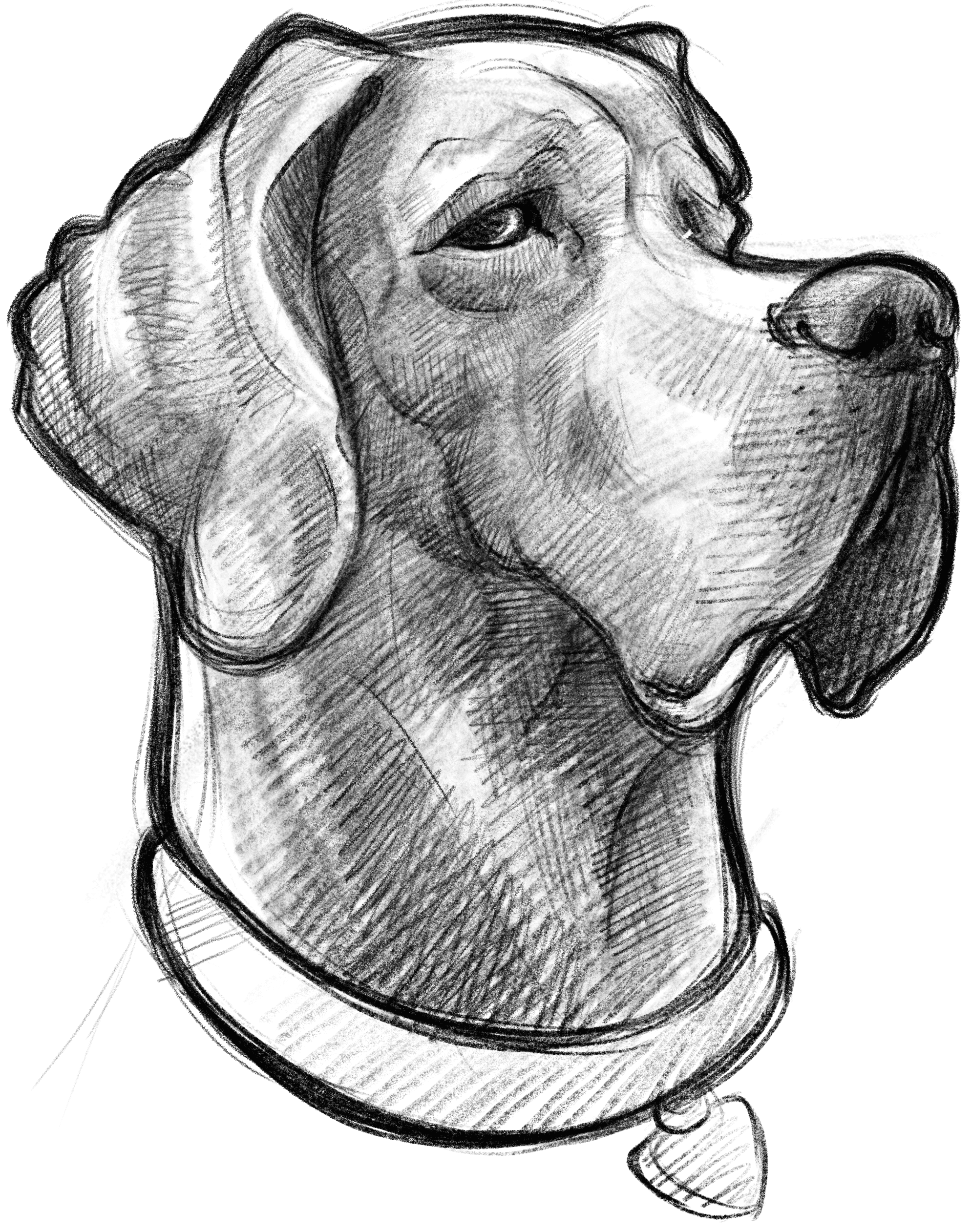 Begin Drawing - Keshart